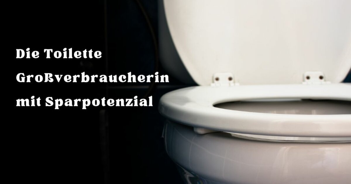 Die Toilette: Eine Großverbraucherin mit Sparpotenzial | Heinrich Böll ...